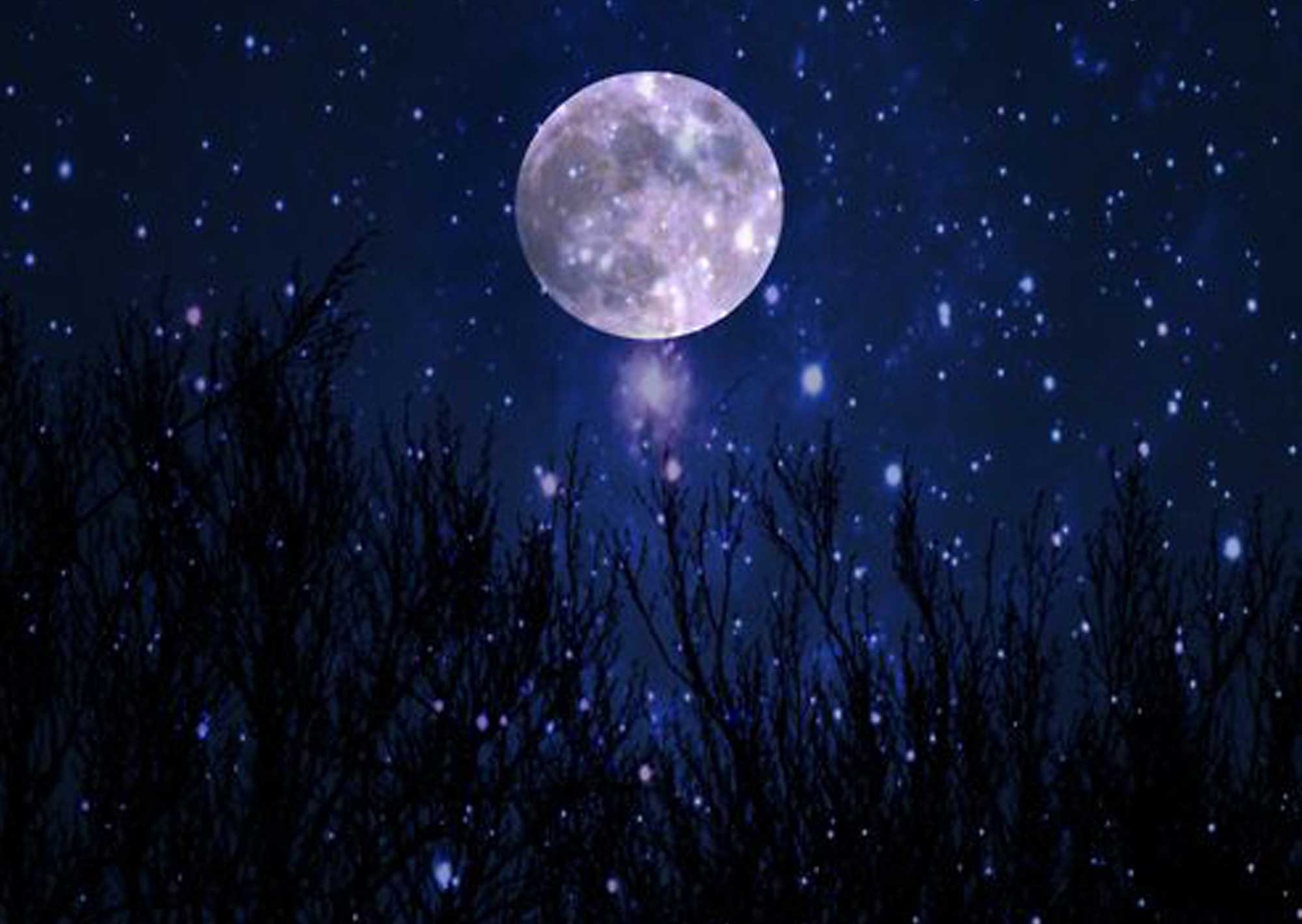 Win Luxury Lingerie | Finish the Story – Fleur of England